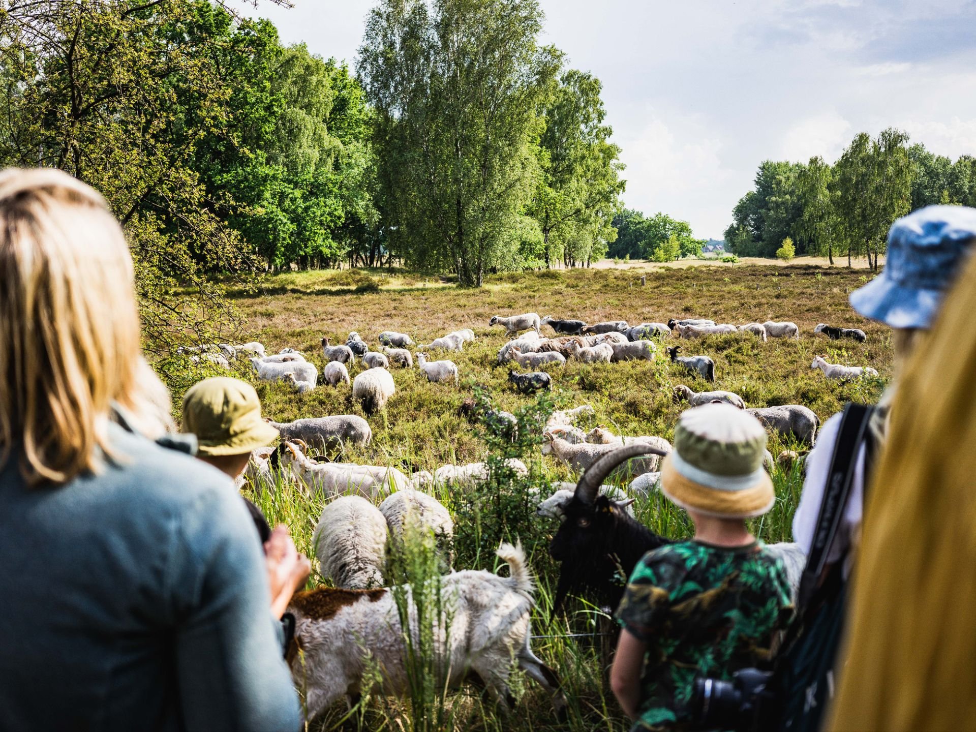 Botschaft der Wildtiere | Startseite